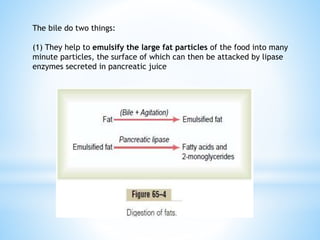 GALLBLADDER AND BILE (2).pptx