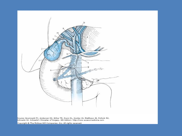 Gallbladder and extrahepatic biliary system | PPT | Digestive Disorders ...