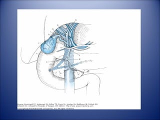 Gallbladder and extrahepatic biliary system | PPT