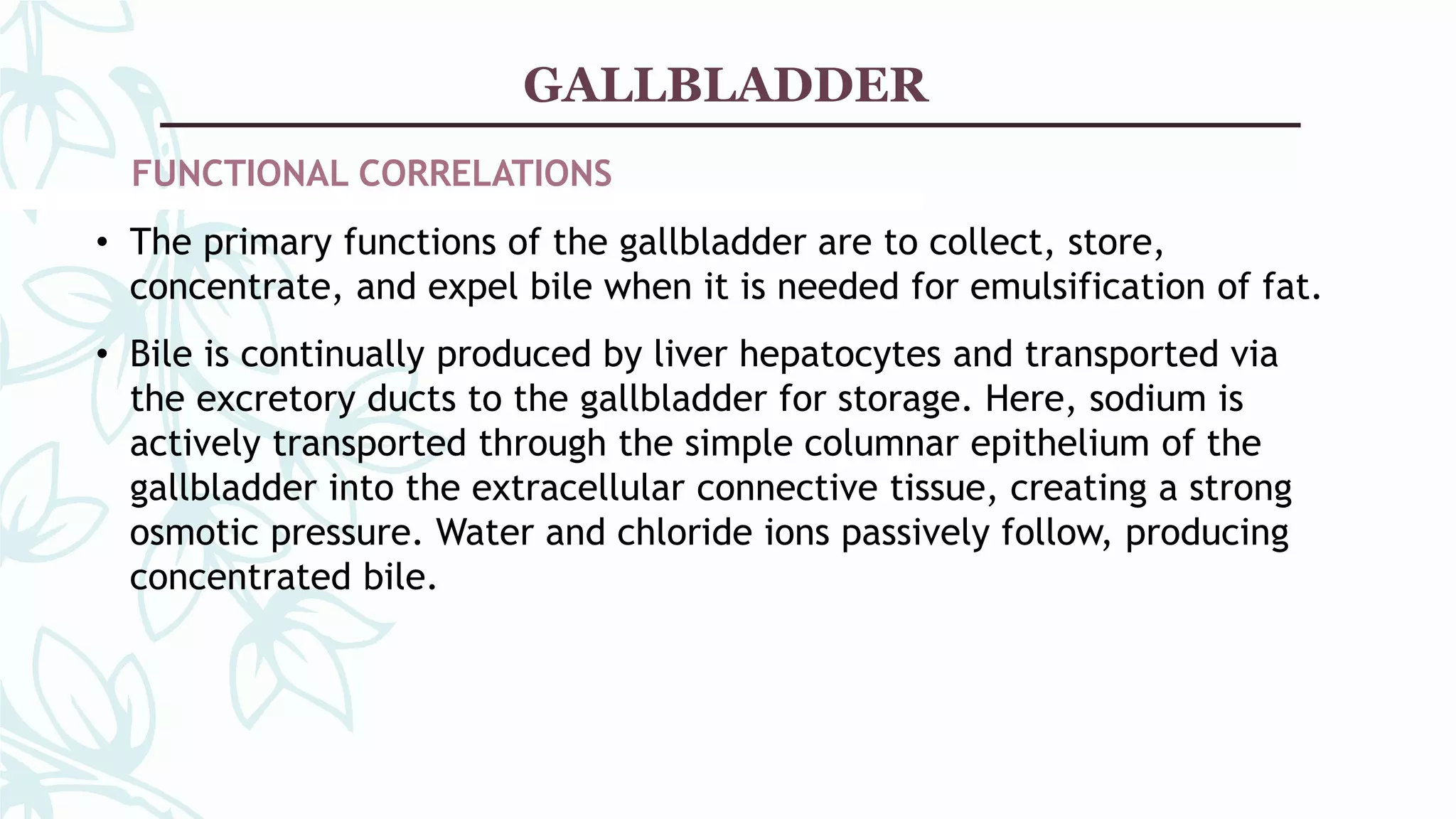 HISTOLOGY - Gallbladder and Pancreas | PPTX