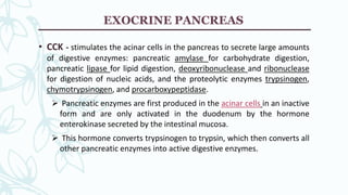 HISTOLOGY - Gallbladder and Pancreas | PPTX