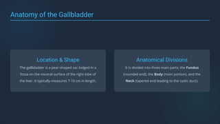 Gallbladder and Pancreas Anatomy.pdf.... | PDF