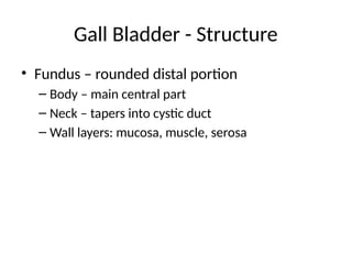 Gall_Bladder_and_Pancreas_Anatomy_Presentation.pptx