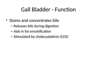 Gall_Bladder_and_Pancreas_Anatomy_Presentation.pptx