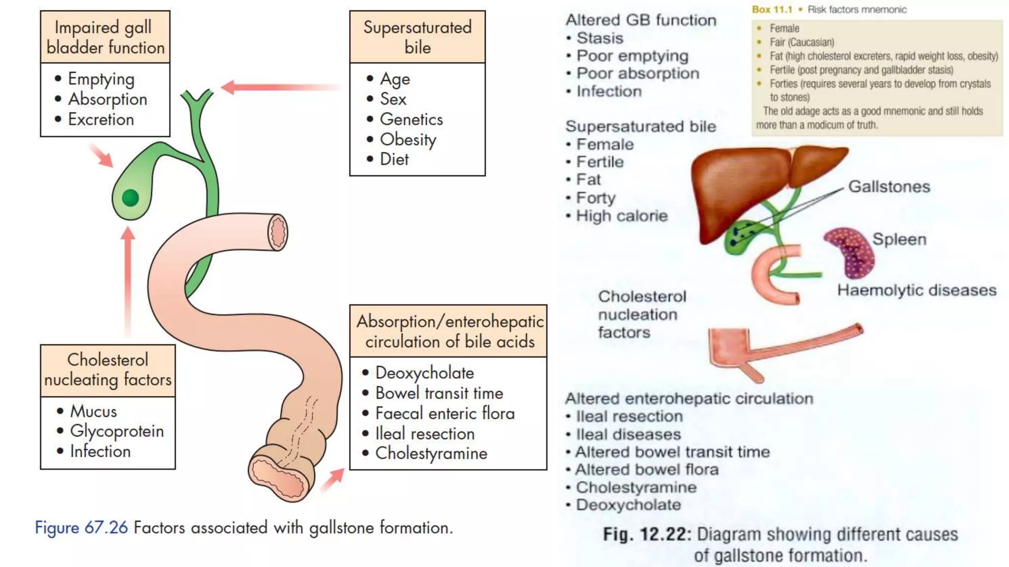 Gall bladder & Bile duct diseases.pptx