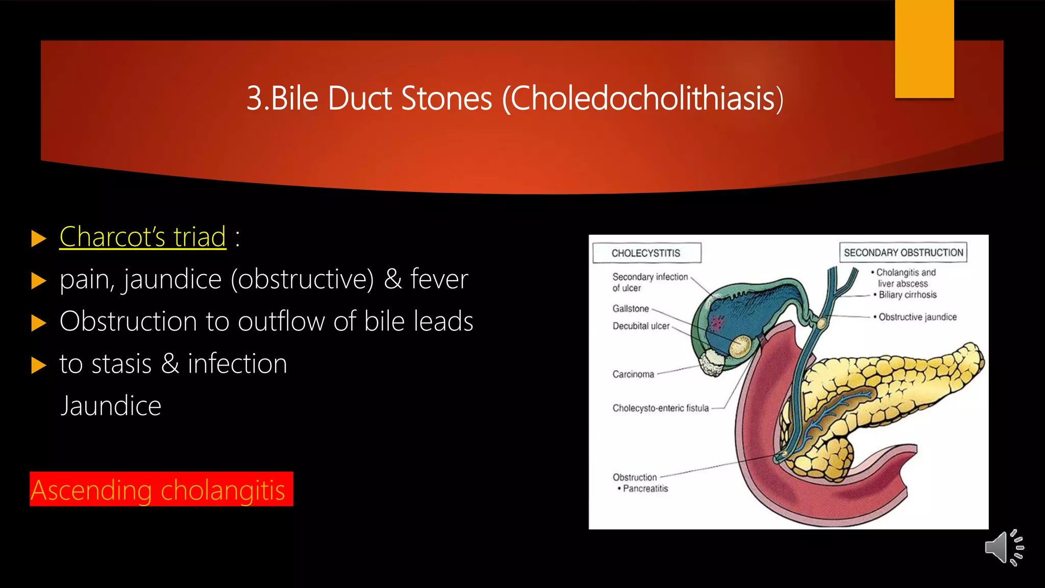Gall bladder & bile ducts with narration | PPTX