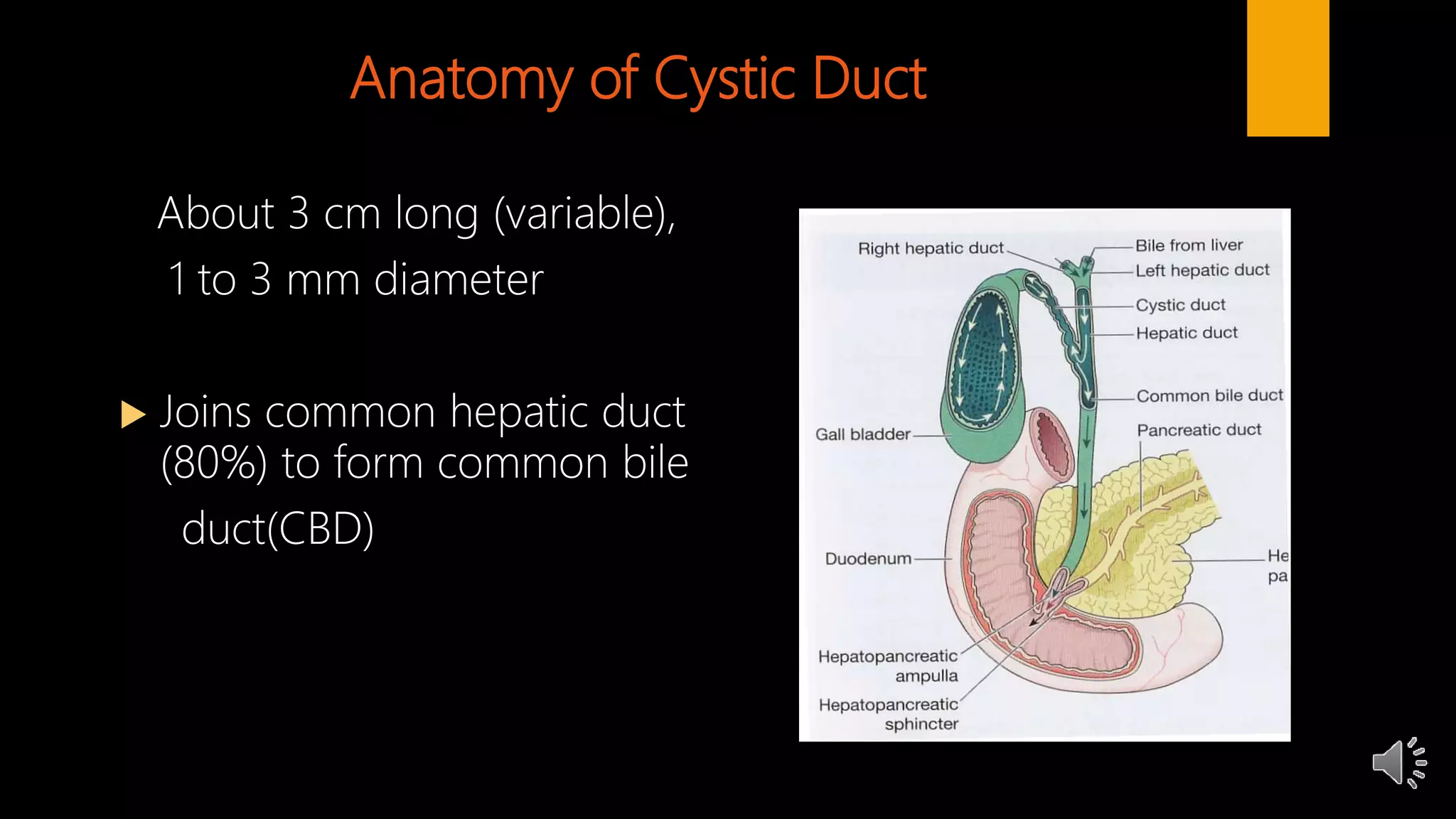 Gall bladder & bile ducts with narration | PPTX