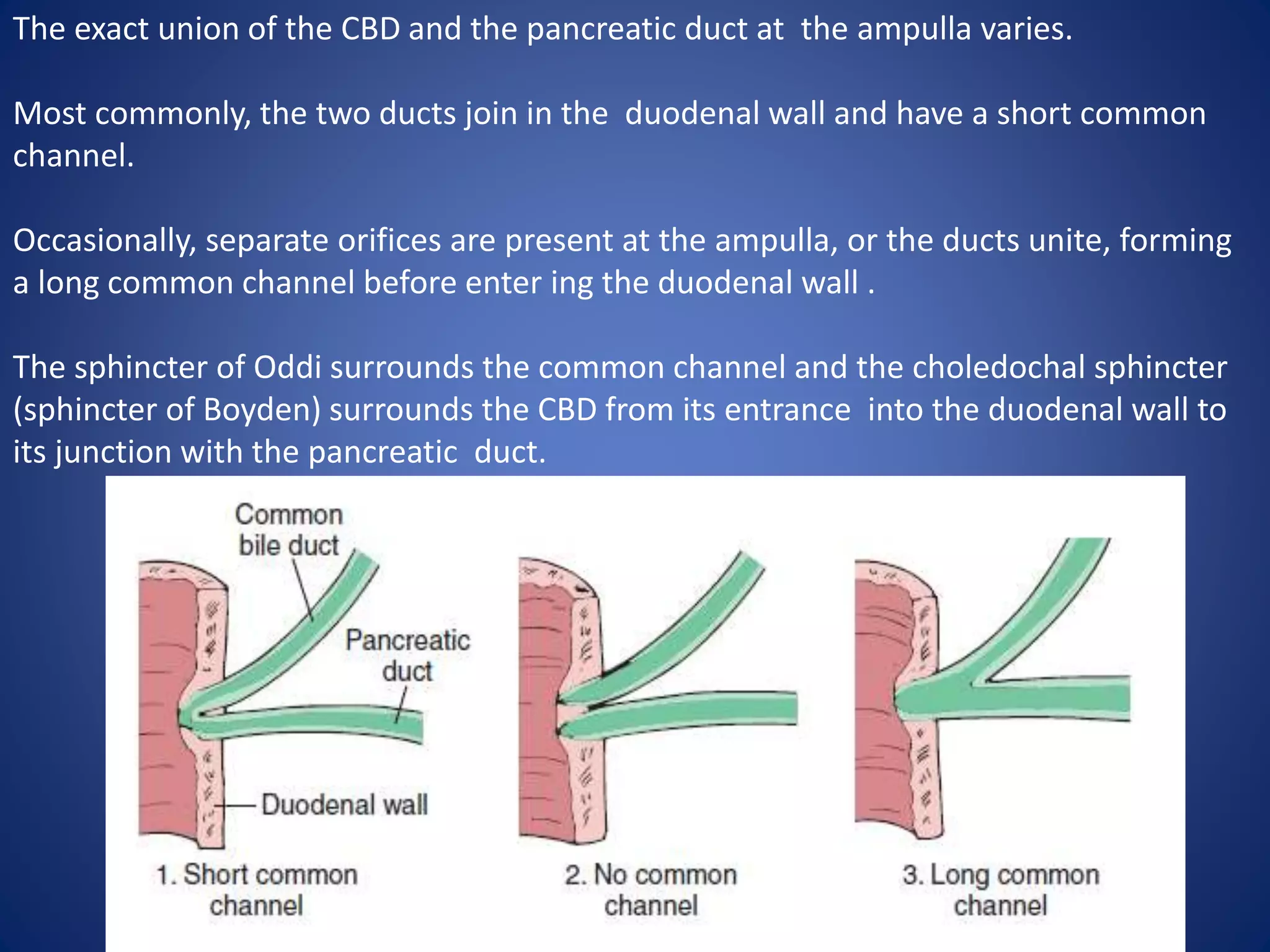 Gall bladder & biliary tract anomalies and variants | PPTX