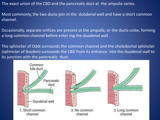 Gall bladder & biliary tract anomalies and variants | PPTX