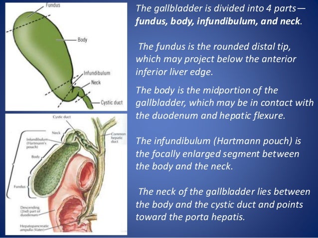 Gall bladder & biliary tract anomalies and variants