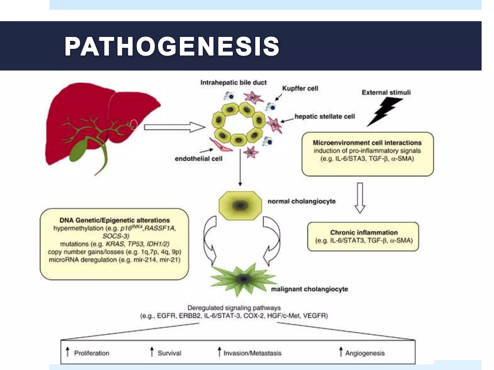 Gallbladder cancer | PPTX
