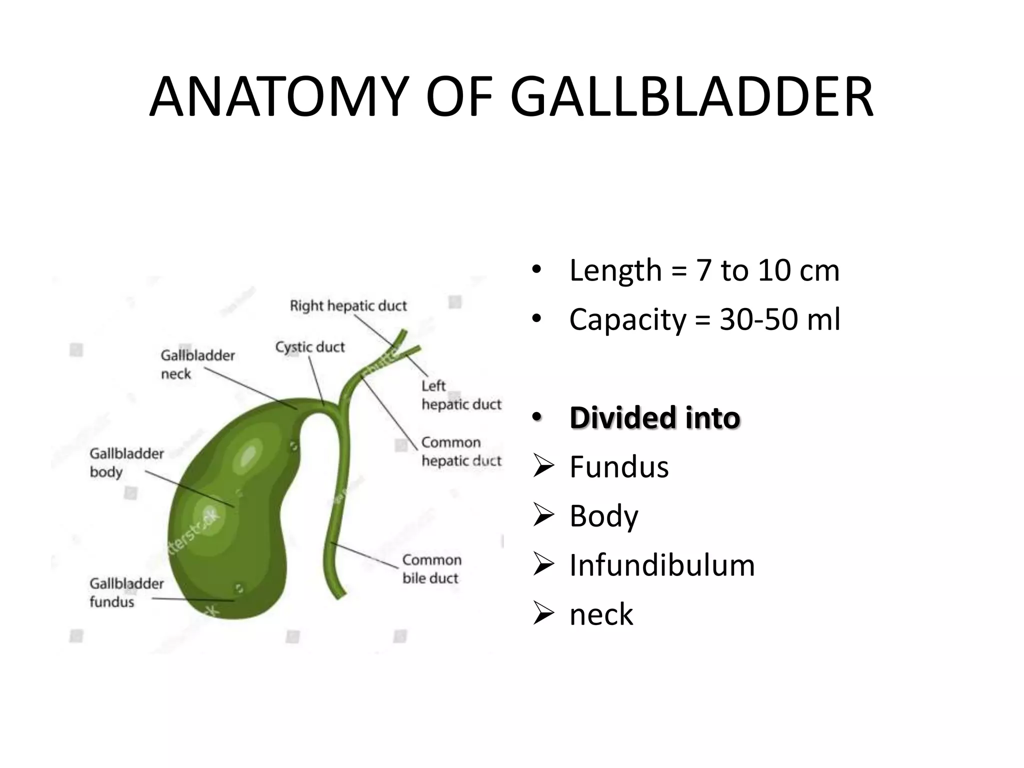 GALLBLADDER CANCER.pptx