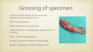 Comprehensive overview on Grossing of Gallbladder | PPTX