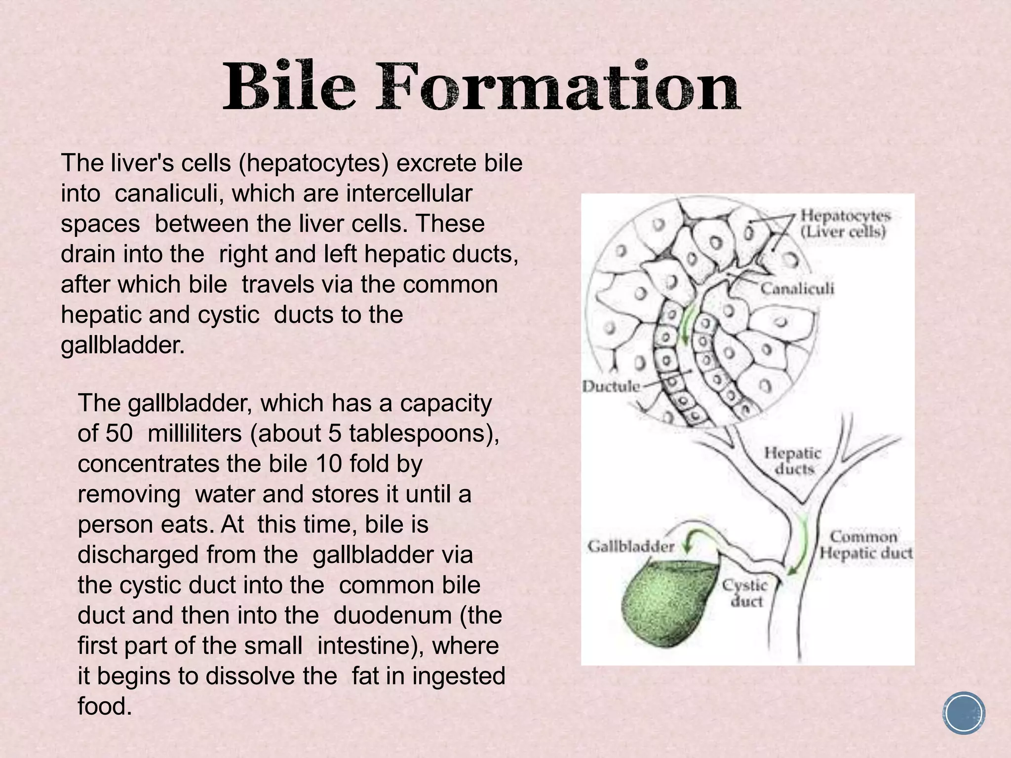 Gallbladder Disease in Children.pptx