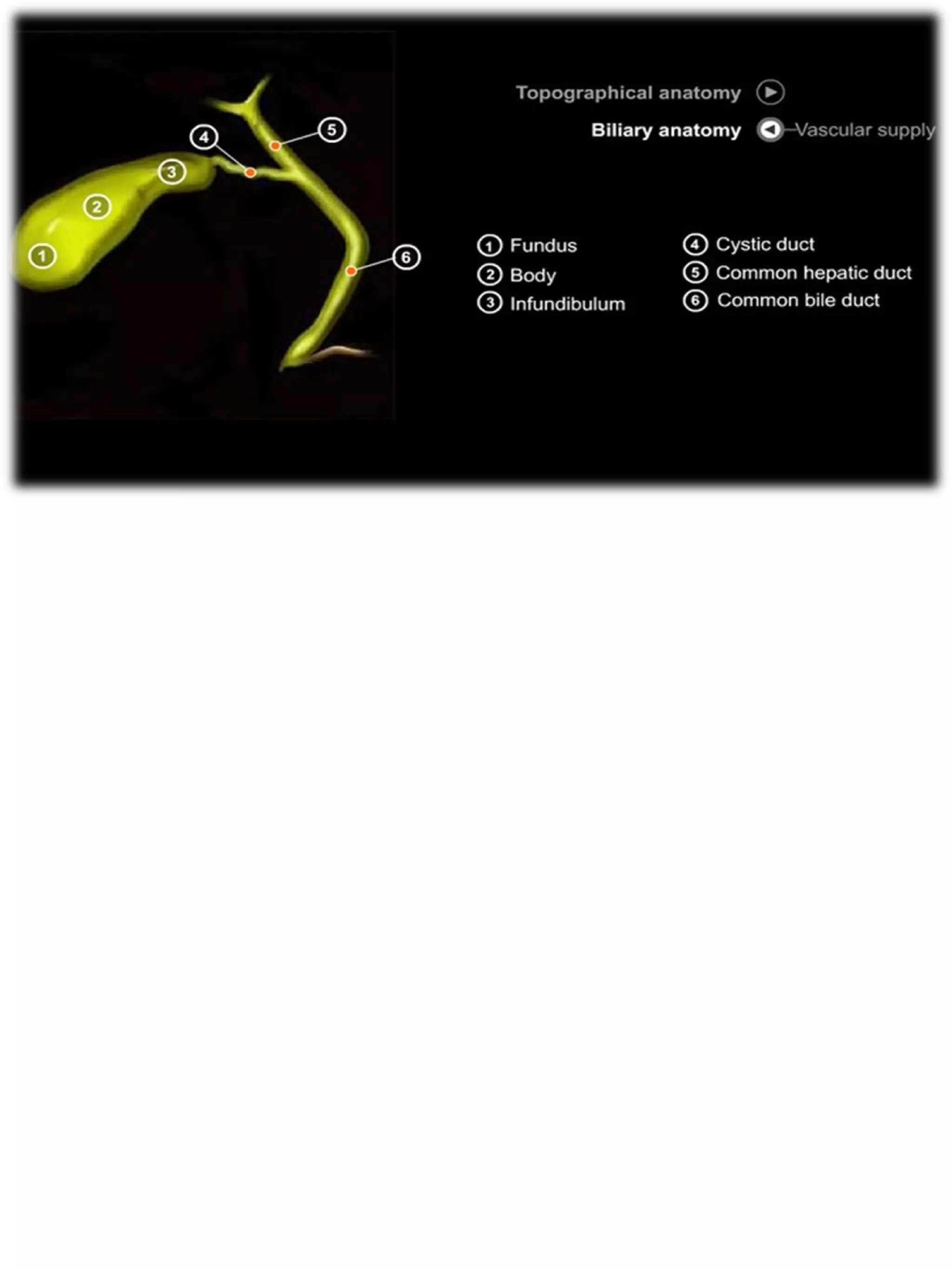 BILIARY DYSKINESIA | PPT