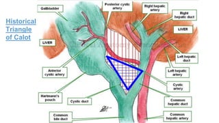 Gallbladder Disease | PPTX