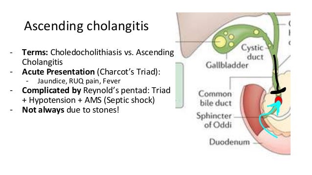 Cholangitis Triad