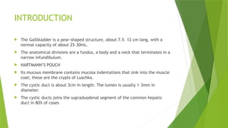 GALLBLADDER DISEASES & OBSTRUCTIVE JAUNDICE.pptx