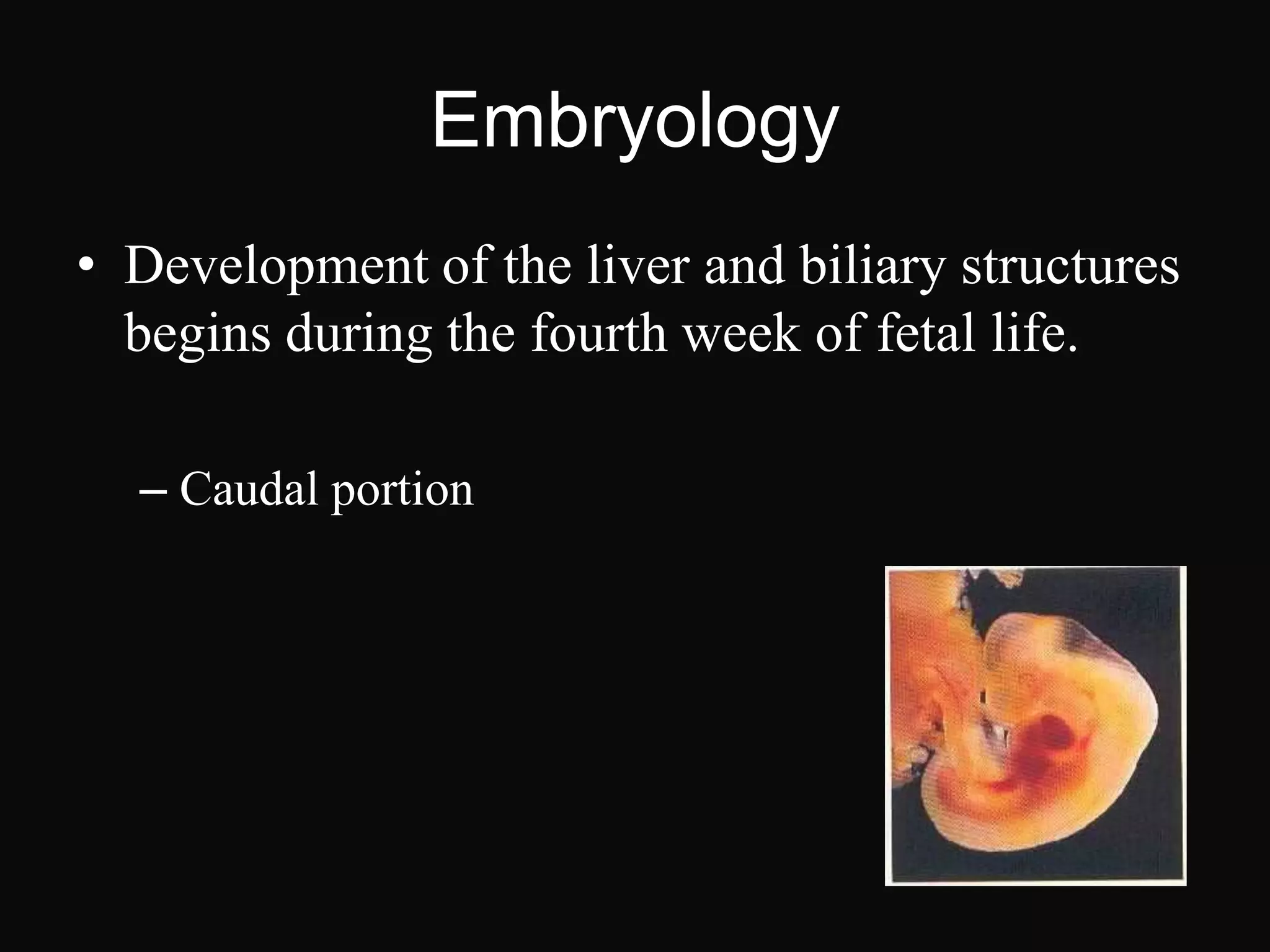 Gallbladder & extrahepatic biliary tree | PPTX