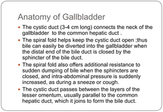 Gallbladder, The Big Picture | PPTX
