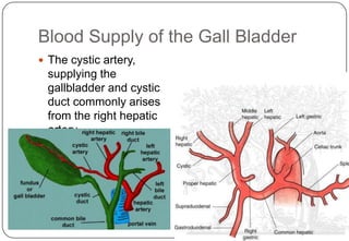 Gallbladder, The Big Picture | PPTX