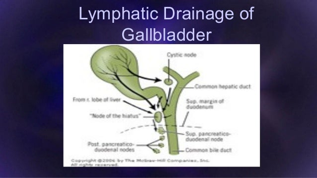 Gall bladder lecture