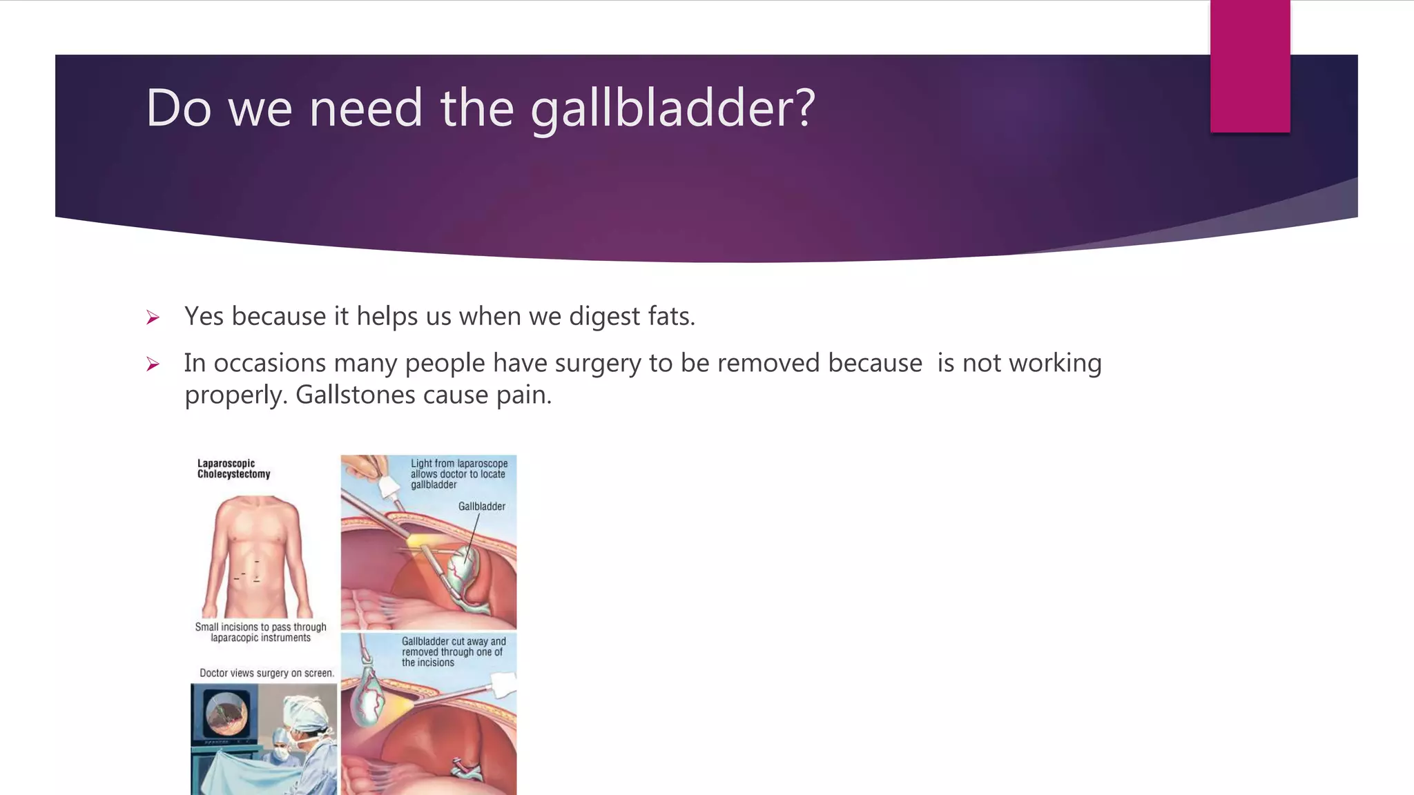 Gallbladder presentation | PPTX | Digestive Disorders | Diseases and Conditions