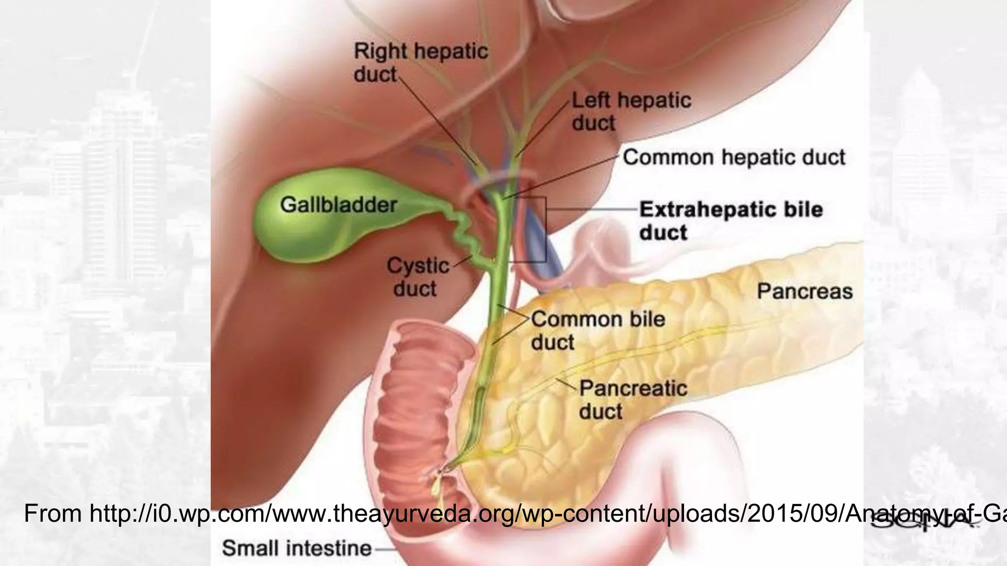 Fun Functional Gallbladder Disorders: Update on Hypo and Hyperkinetic Gallbladder and Sphincter ...