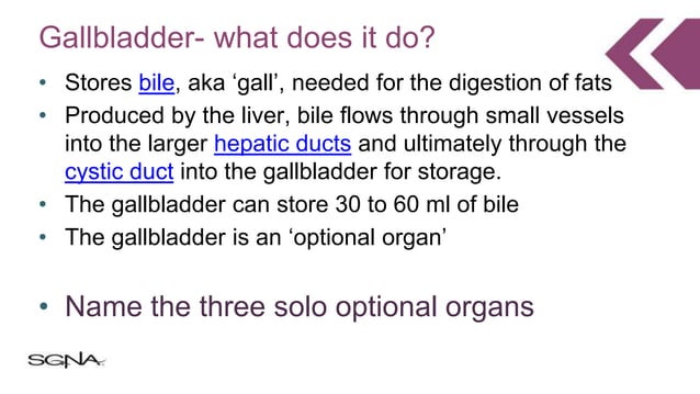 Fun Functional Gallbladder Disorders: Update on Hypo and Hyperkinetic Gallbladder and Sphincter ...