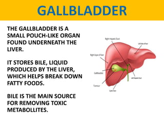 GALLBLADDER CANCER IS INCREASING IN DELHI | PPT