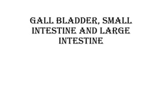 Gall bladder, Small intestine and Large intestine.pptx