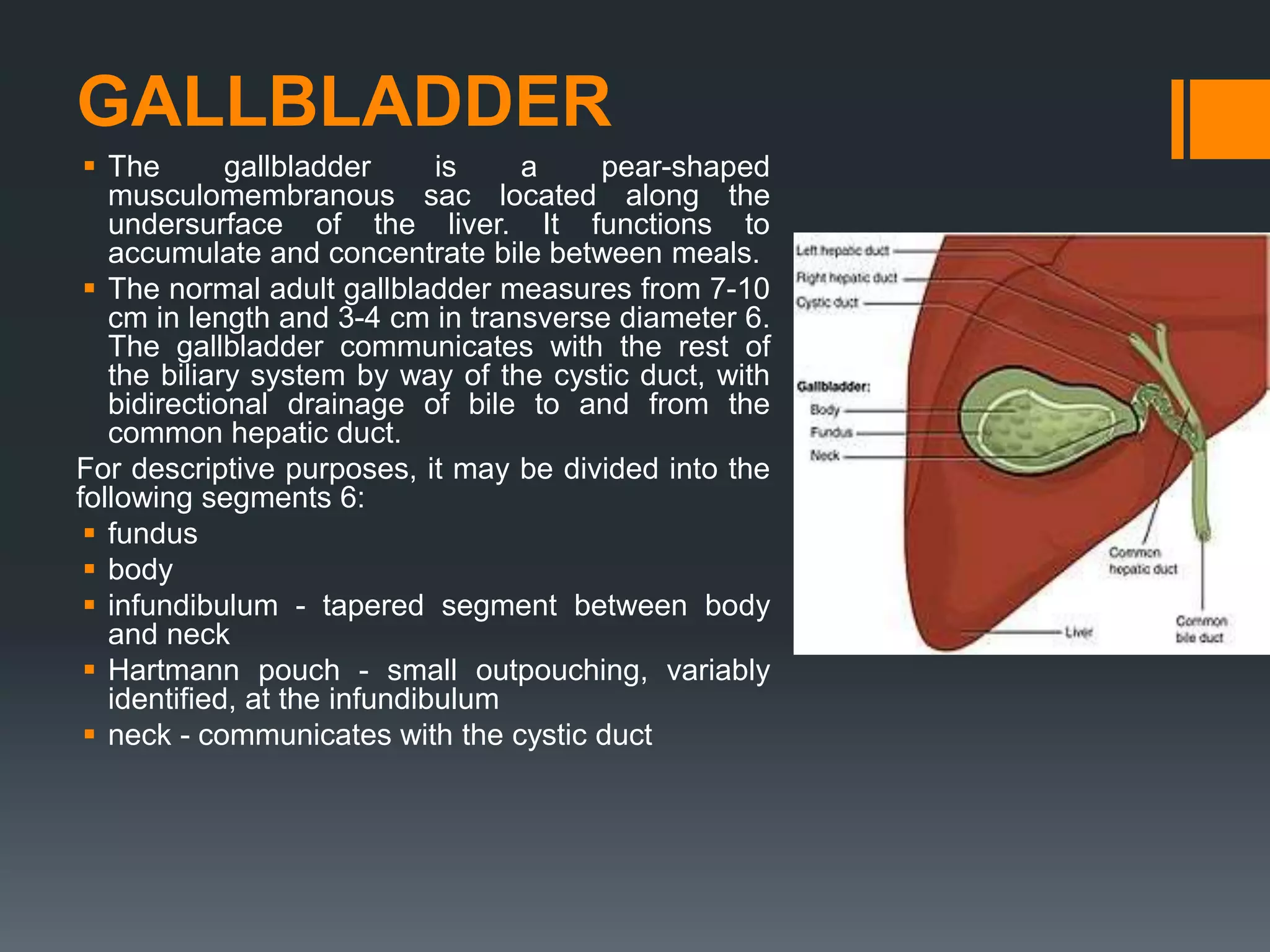 Gallbladder ultrasound (basic) | PPTX