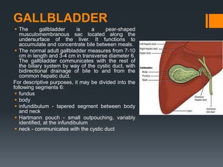 Gallbladder ultrasound (basic) | PPTX