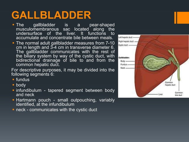 Gallbladder ultrasound (basic) | PPTX