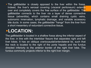 Gallbladder ultrasound (basic) | PPTX