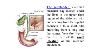 gallblader.pptx