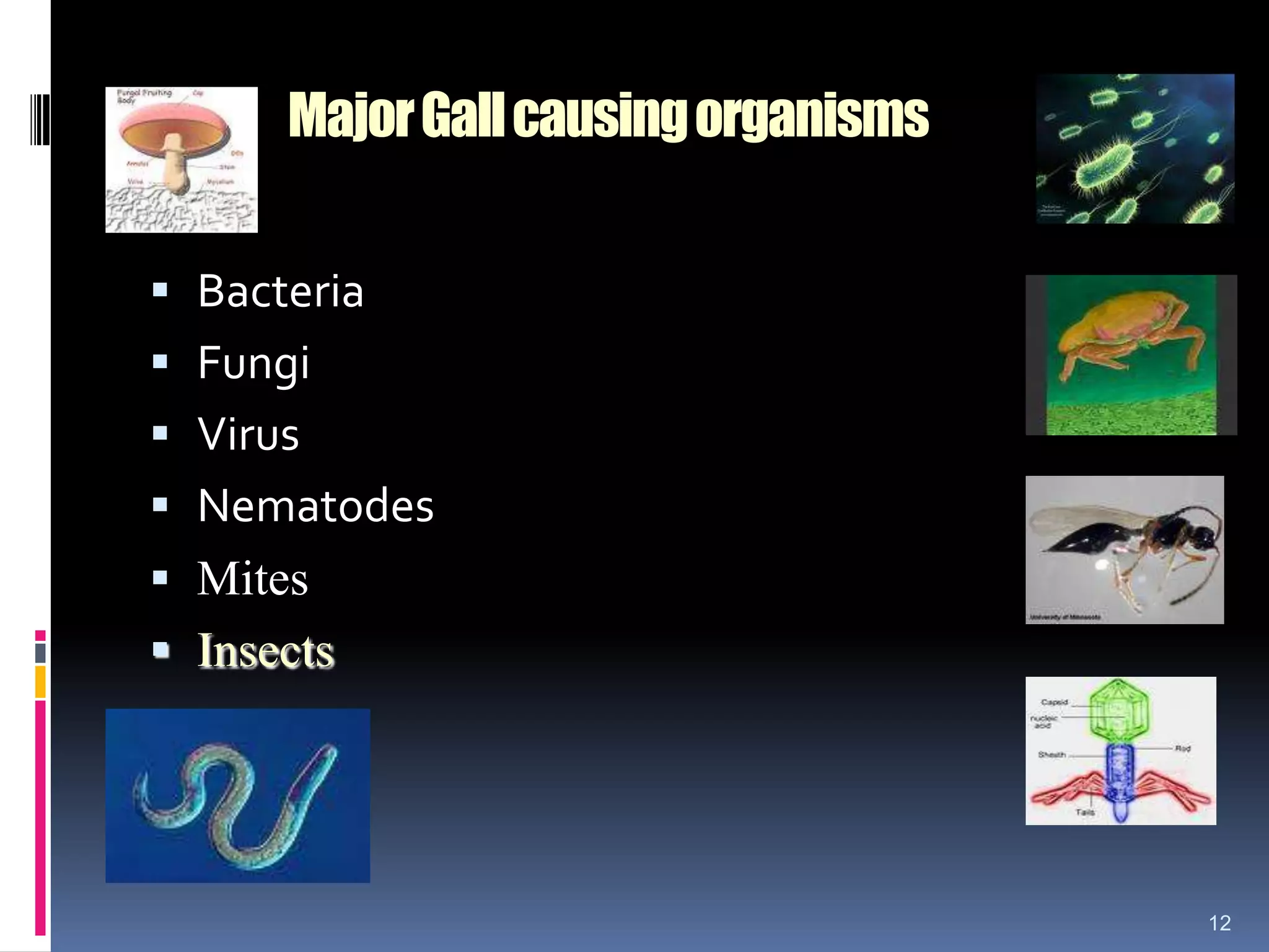 Gall forming insects, mites and their management | PPTX