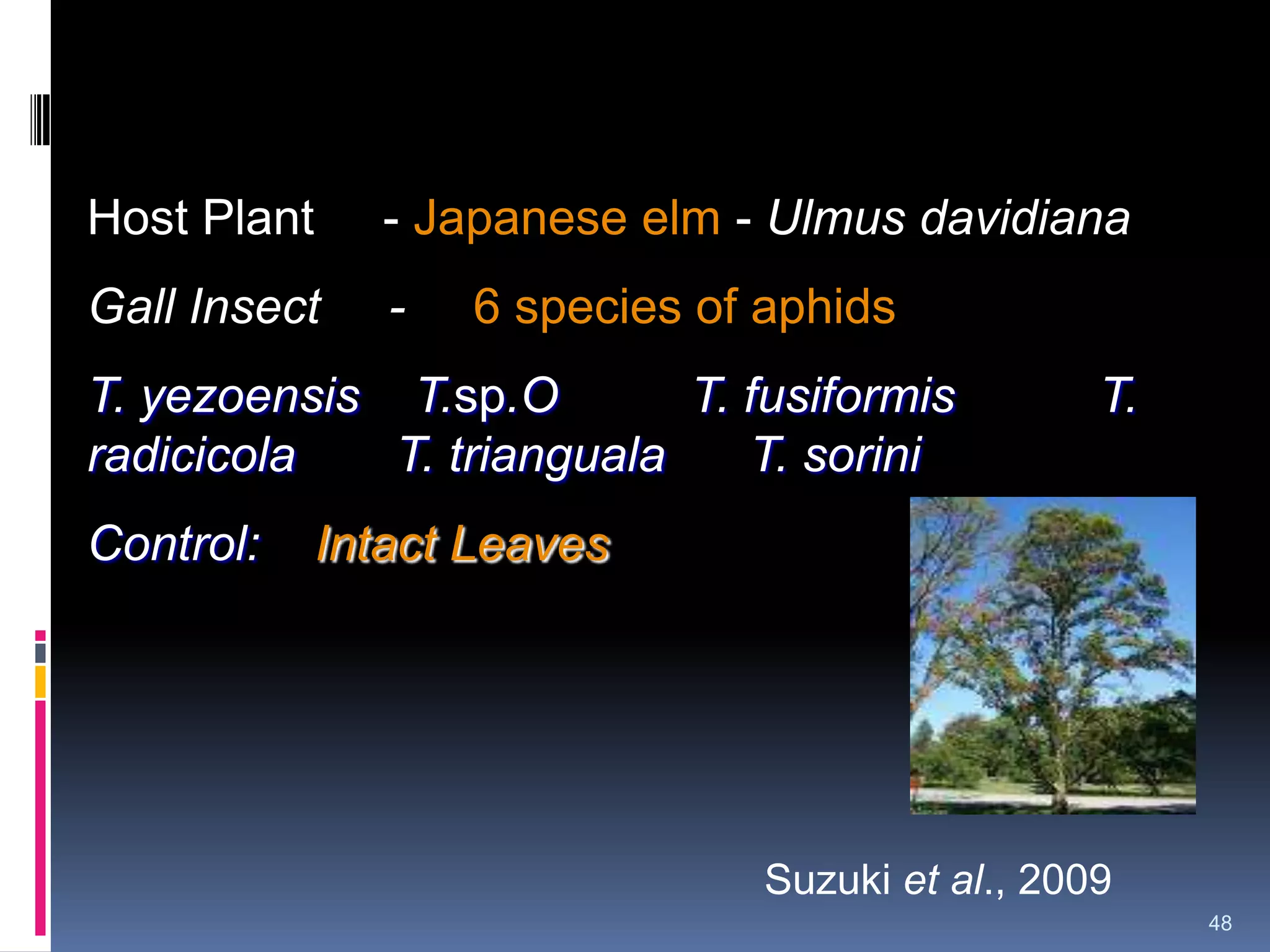 Gall forming insects, mites and their management | PPTX