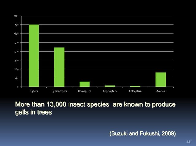 Gall forming insects, mites and their management | PPTX | Birdwatching ...