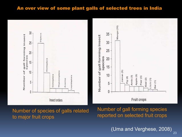 Gall forming insects, mites and their management | PPTX | Birdwatching ...