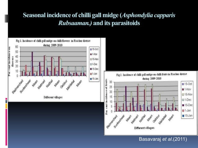 Gall forming insects, mites and their management | PPTX | Birdwatching ...