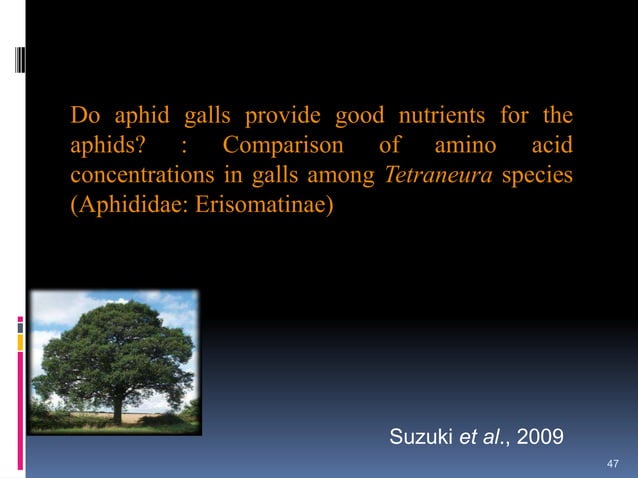 Gall forming insects, mites and their management | PPTX | Birdwatching ...