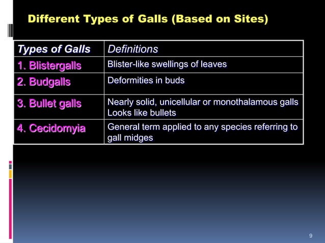 Gall forming insects, mites and their management | PPTX | Birdwatching ...