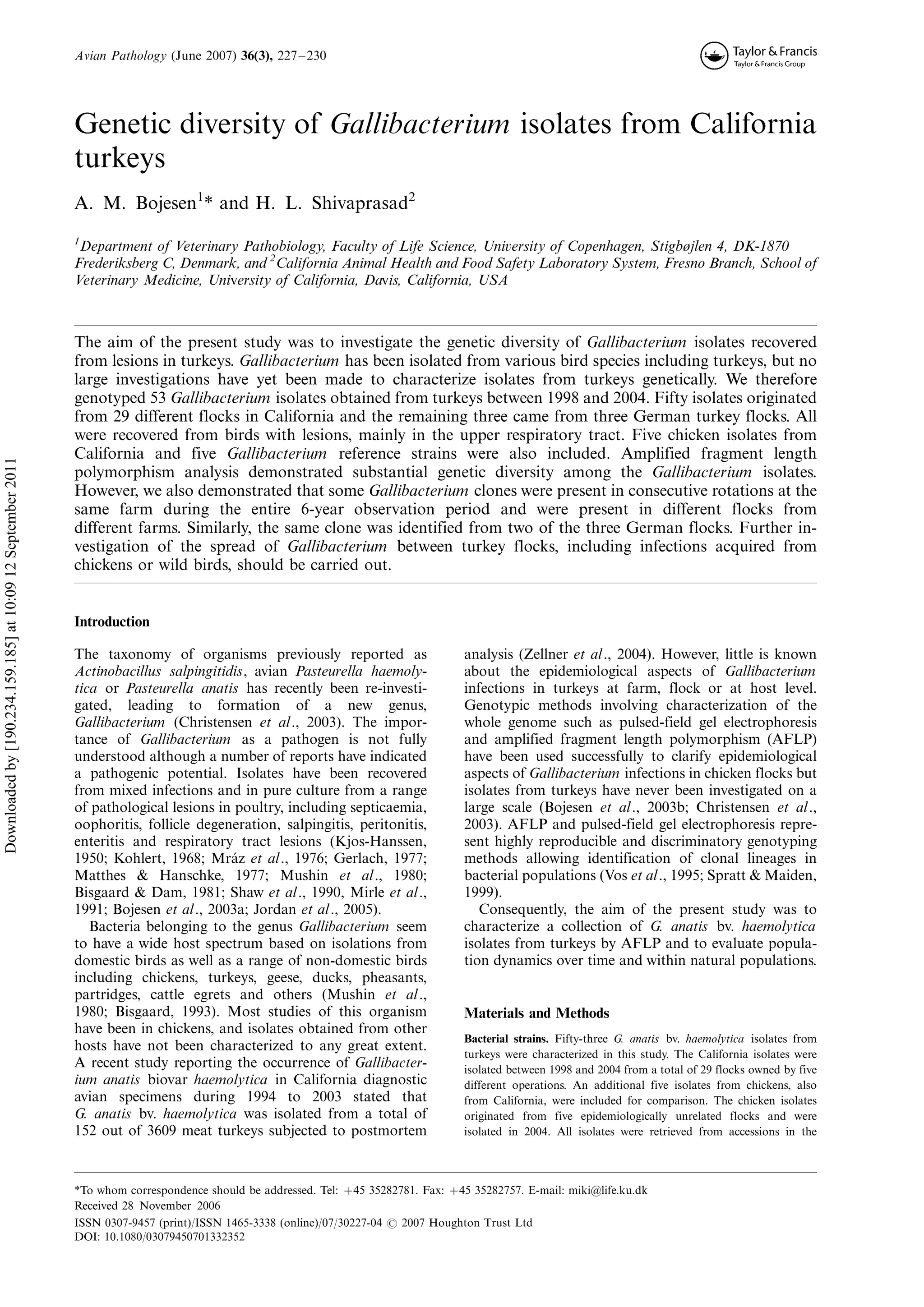 Gallibacterium | PDF