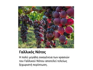 Το κρασί στη Γαλλία | PPTX