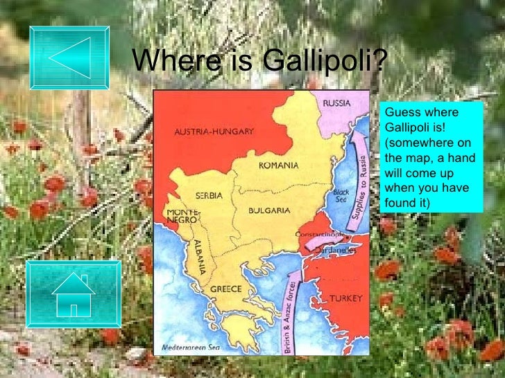 Gallipoli