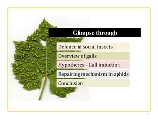Gall repairing mechanism | PPT