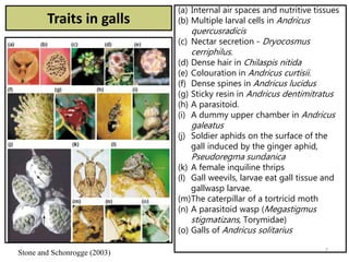 Gall repairing mechanism | PPT