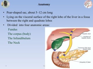 Gall Bladder Stone | PPTX