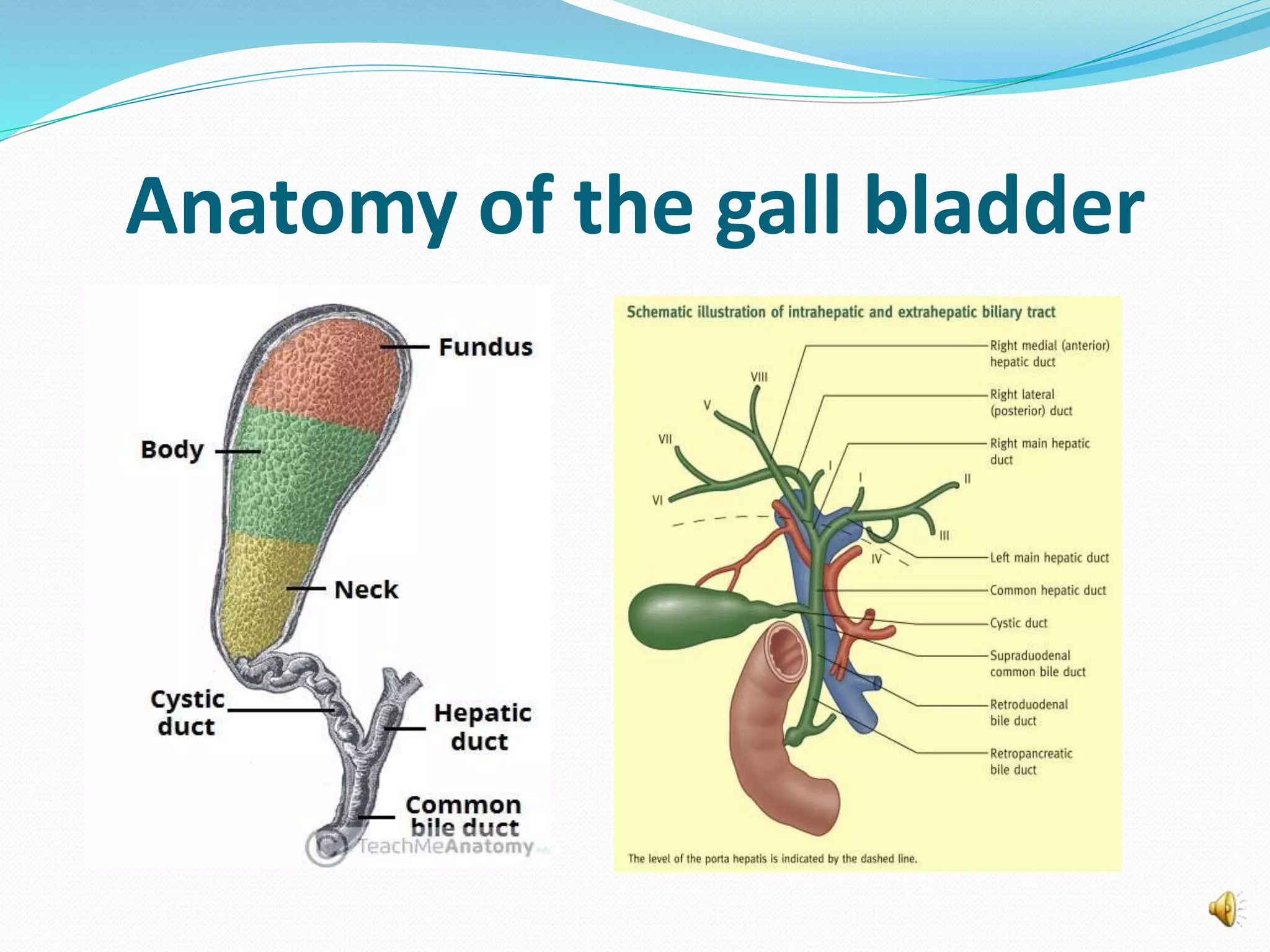 GALLSTONE_DISEASE.pptx
